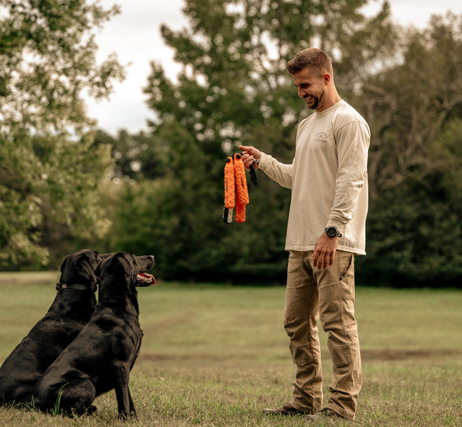 Our Story – Swamp Dog